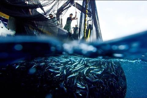 Targeting net-zero fishing | News | World Fishing